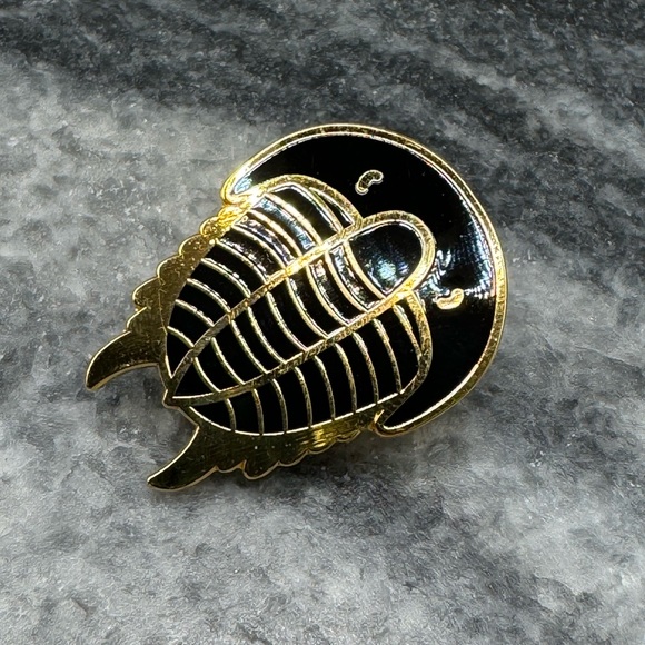 Jewelry | Prehistoric Fossil Trilobite Enamel Pin Brooch | Poshmark